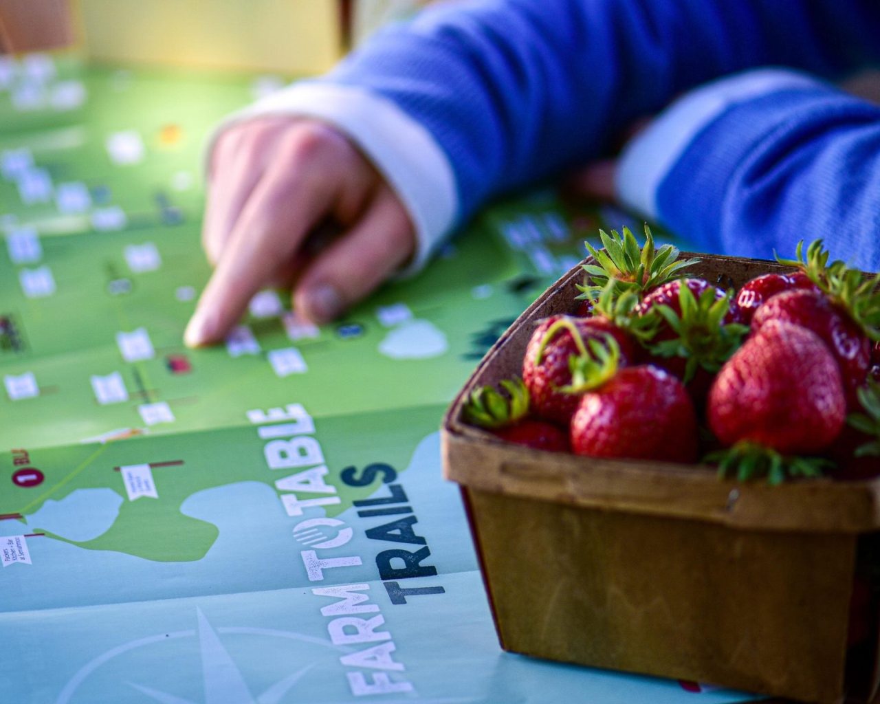 Spring & Summer Sustainable Connections Highlights | Sustainable ...