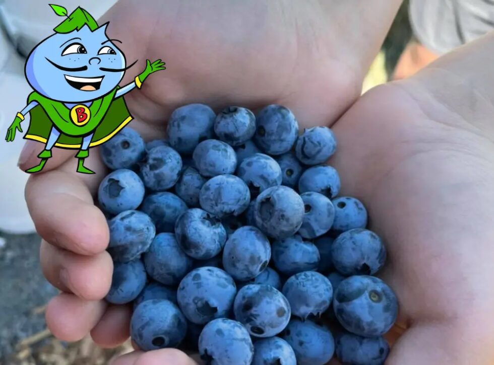 Farm to Table Trail | Sustainable Connections