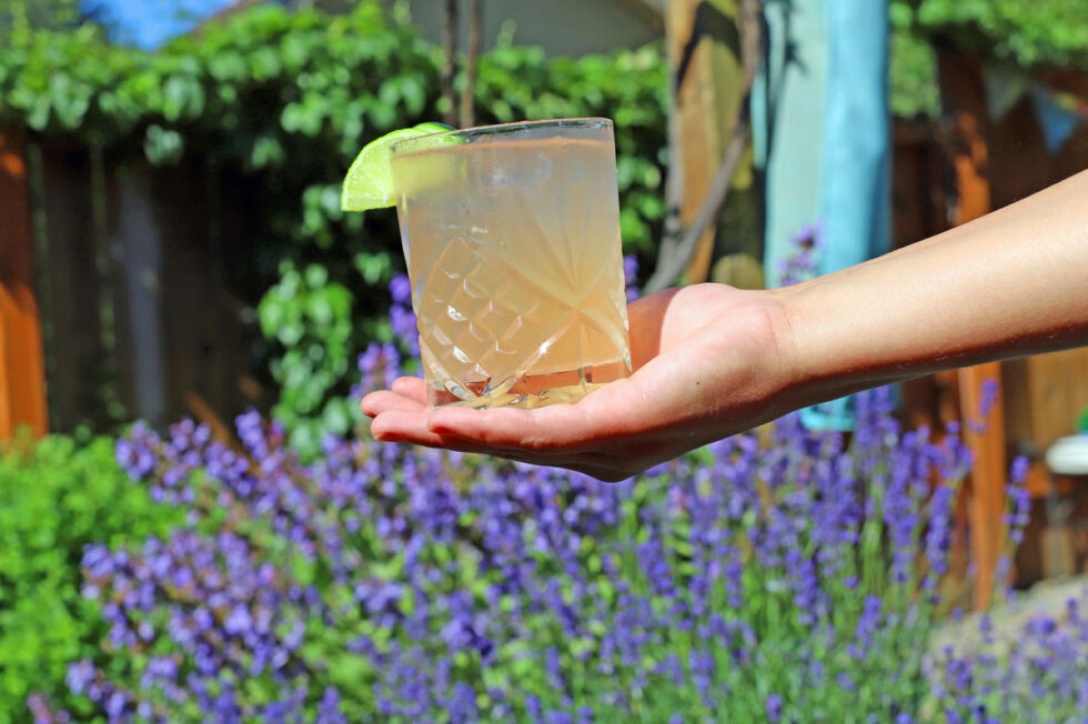 Think Local First | Sustainable Connections