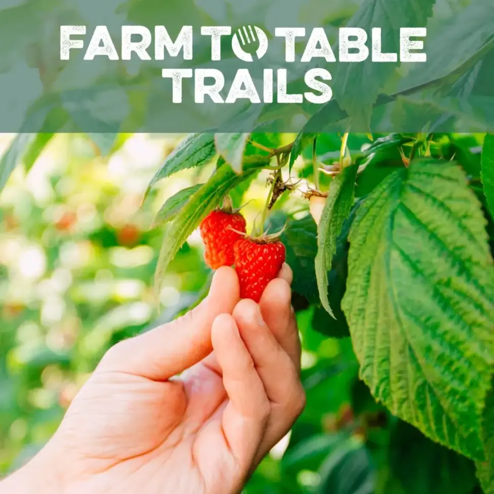 Food & Farming | Sustainable Connections