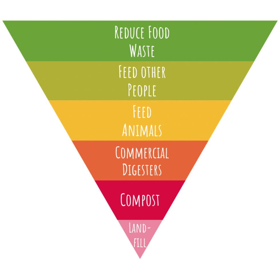 Squatch Food Waste at Home | Sustainable Connections