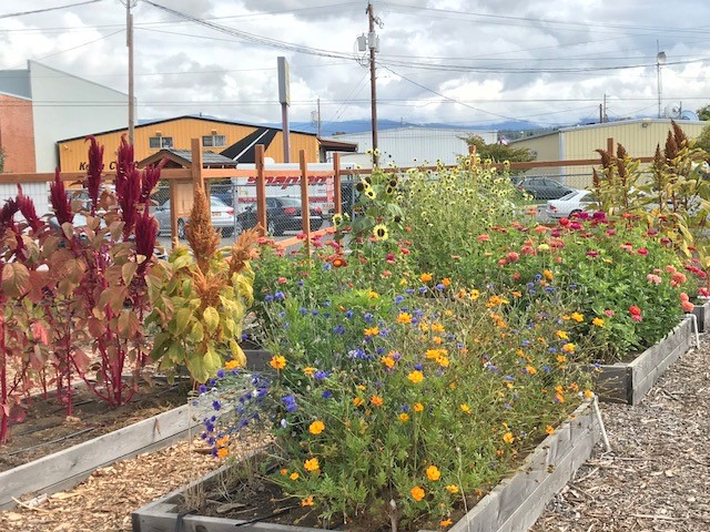 Whatcom County Farm Tour | Sustainable Connections Whatcom County Farm Tour | Sustainable Connections